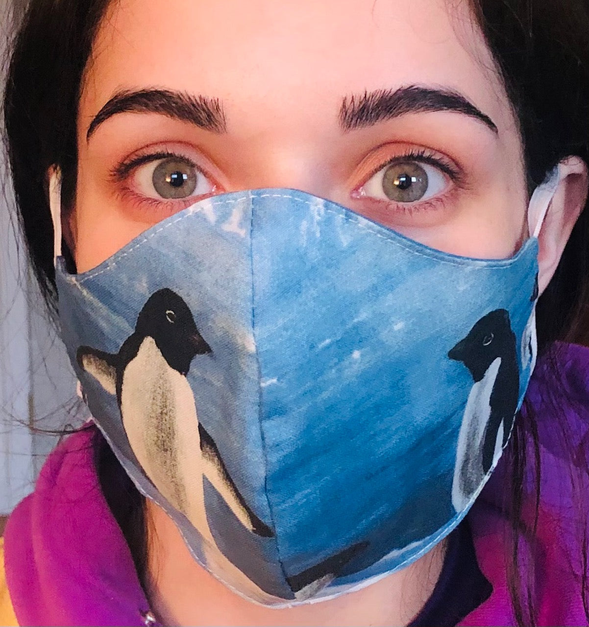 Adelie Penguins Mask (Adult Size) – Penguin Gift Shop
